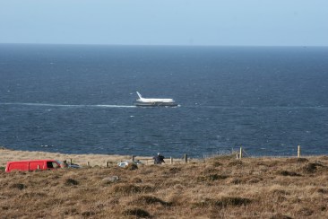 Yep, she’s a big yoke alright! – Louise G Cole, Writer