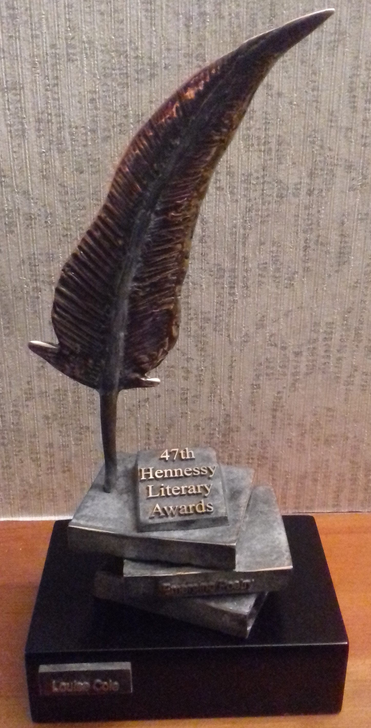 How Did That Happen? – Louise G Cole, Writer